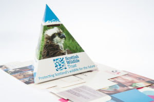 Flatfolding Homeboxes | Angal