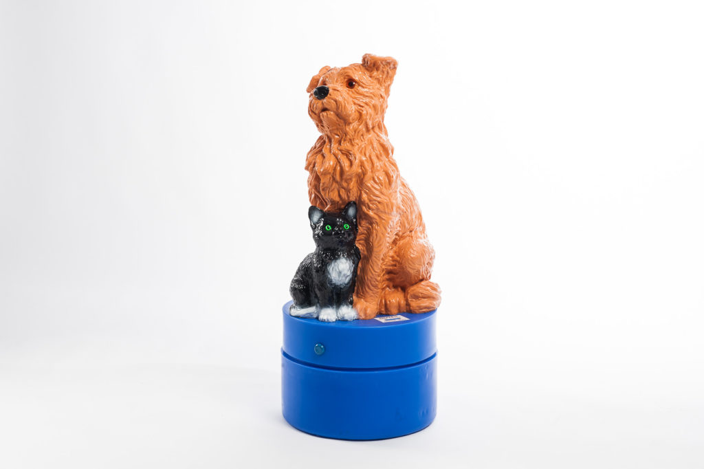 Custom Collection Boxes | Angal